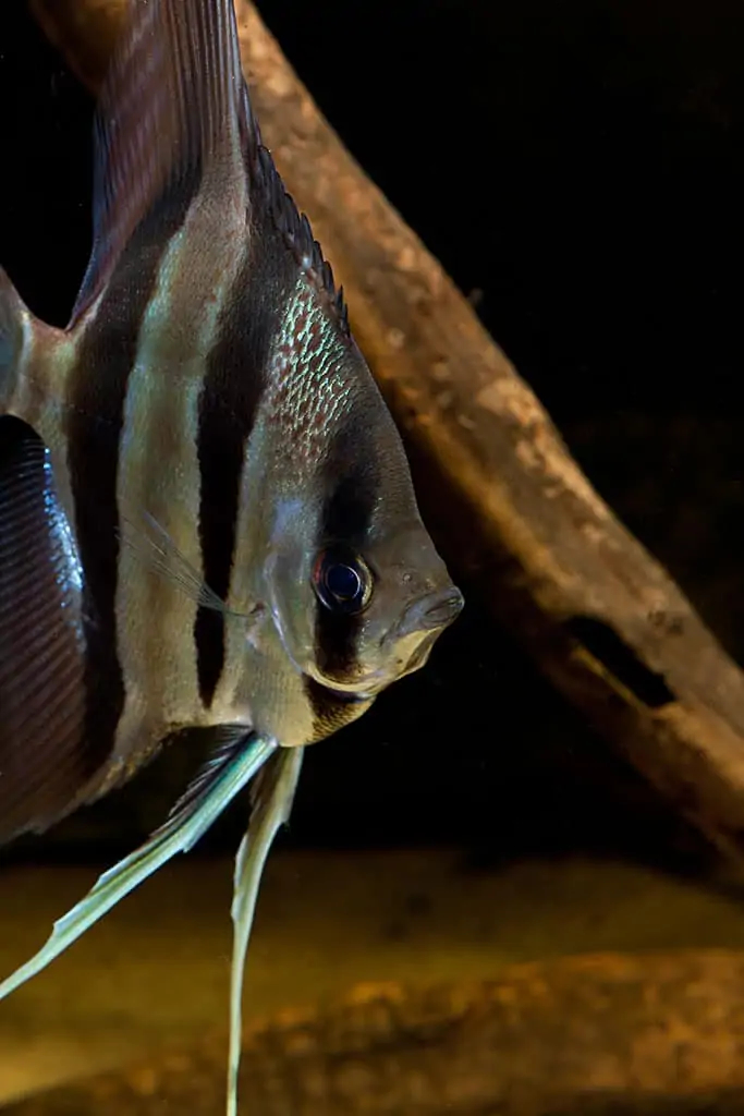 Get my BEST updates delivered to your inbox. - Tweets