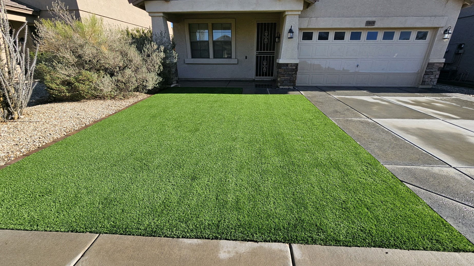 Unlock Elite Turf Insights: Exclusive Updates Just a Click Away ...