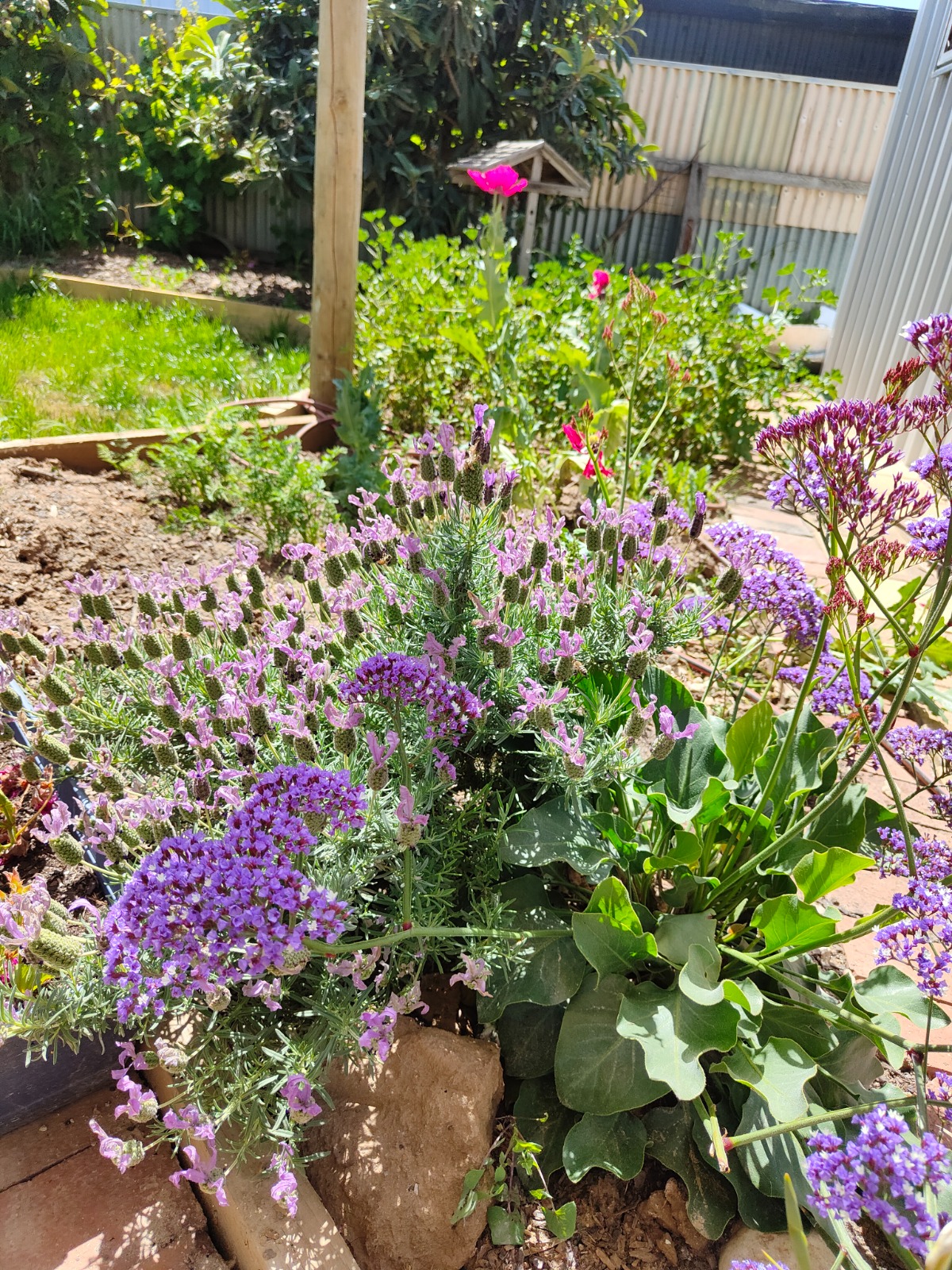 From Australia, With Love - From Australia, With Love